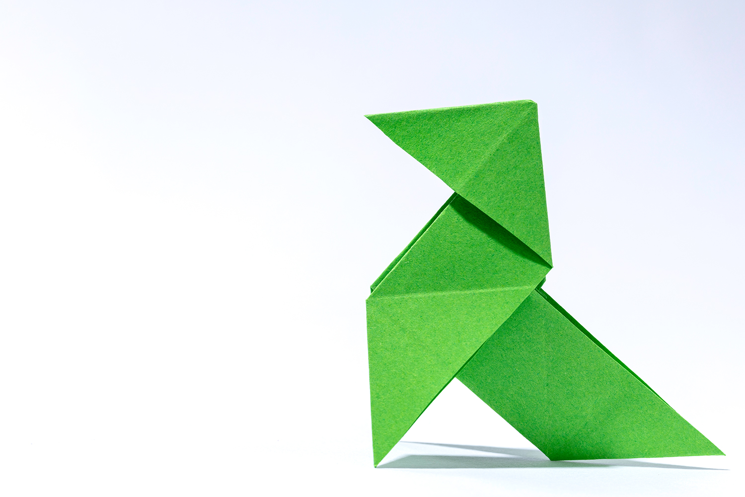 El cisne verde: analizando los escenarios climáticos